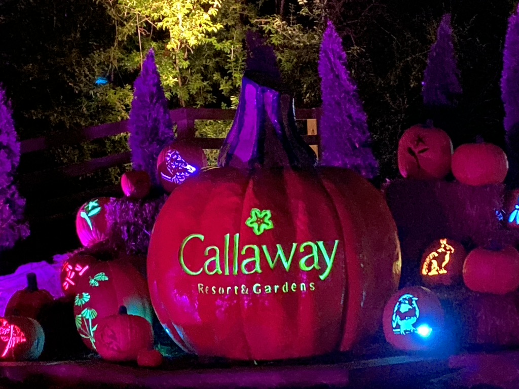 Pumpkins at Callaway - The Well Traveled Road